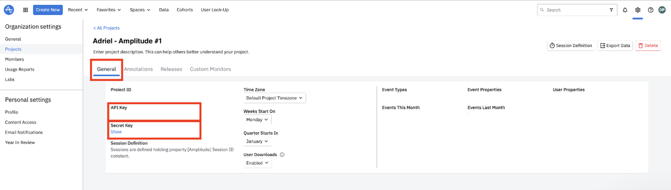 How to connect Amplitude to Adriel